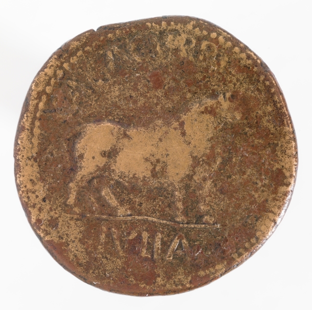 Cabeza de Octavio / Toro - Colección - Museo Nacional del Prado