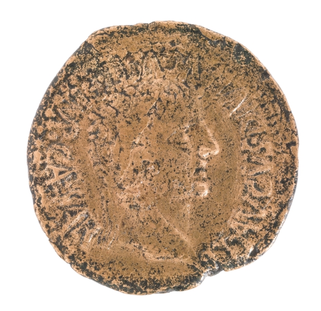Cabeza de Tiberio / Toro - Colección - Museo Nacional del Prado