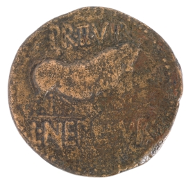 Cabeza de Victoria /Toro - Colección - Museo Nacional del Prado