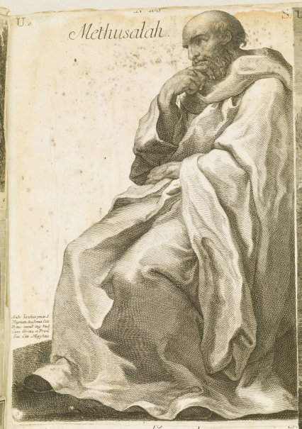 Matusalén - Colección - Museo Nacional del Prado