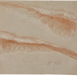 Dos alas - Colección - Museo Nacional del Prado