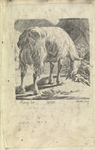 Cabra pastando - Colección - Museo Nacional del Prado