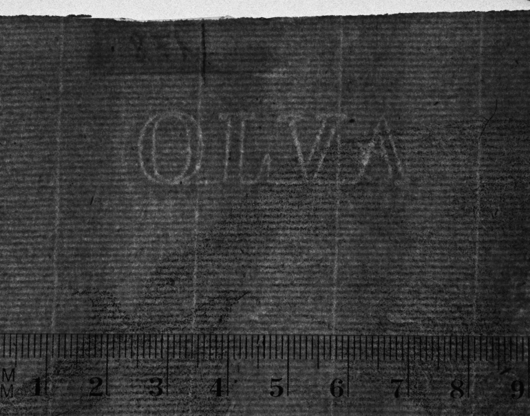 Fierce Monster! - The Collection - Museo Nacional del Prado