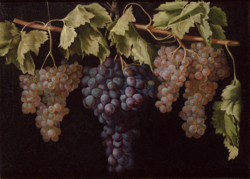 Still Life with four Bunches of Grapes - The Collection - Museo ...