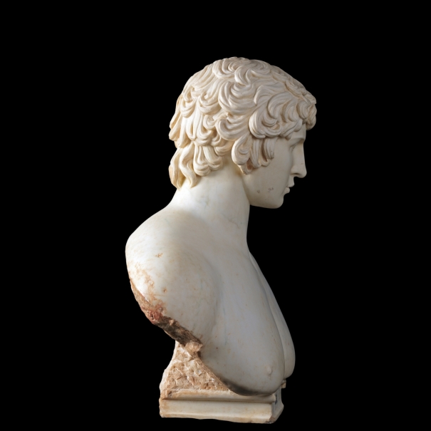 Antínoo de Bitinia - Colección - Museo Nacional del Prado