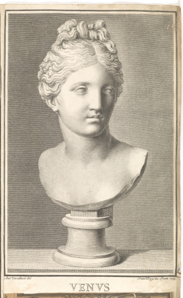 Busto escultórico de Venus - Colección - Museo Nacional del Prado
