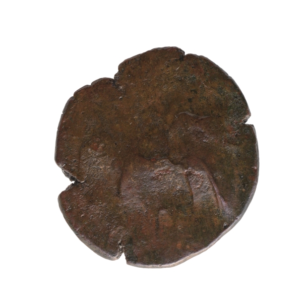 Frustro / Gallo - Colección - Museo Nacional del Prado