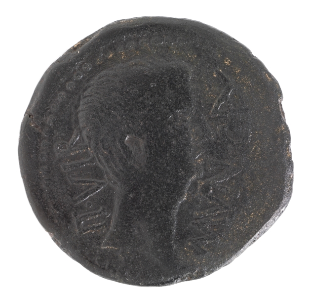 Cabeza de Octavio / Toro - Colección - Museo Nacional del Prado