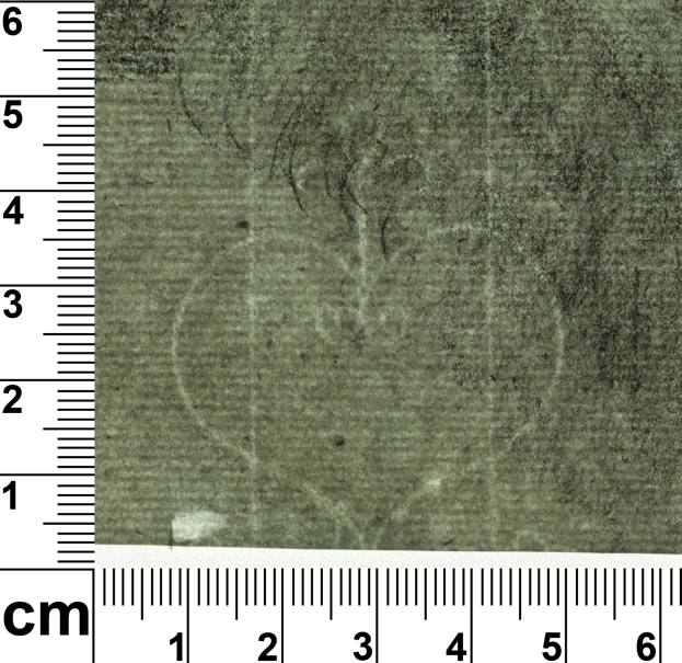 The flying dog - The Collection - Museo Nacional del Prado