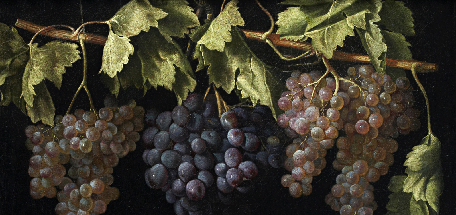 Juan Fernández el Labrador. Naturalezas muertas - Exposición - Museo ...
