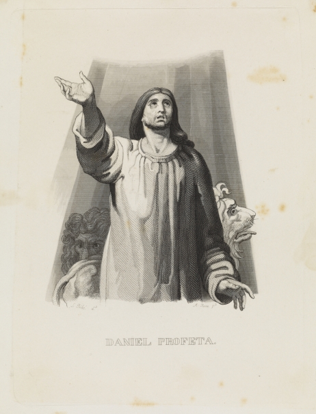 Daniel profeta - Colección - Museo Nacional del Prado