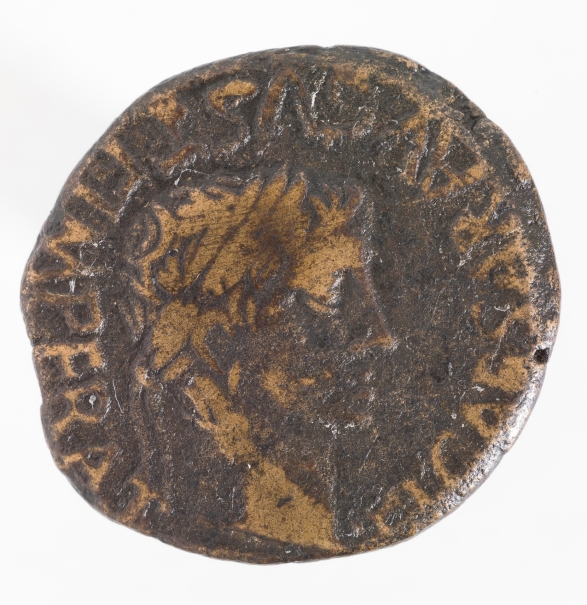 Cabeza de Tiberio / Toro - Colección - Museo Nacional del Prado