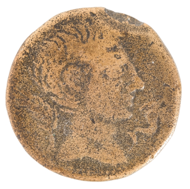 Cabaza de Augusto / Jinete - Colección - Museo Nacional del Prado