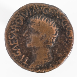 Cabeza de Tiberio / SEGO BRIGA - Colección - Museo Nacional del Prado